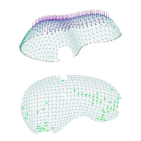 Gridshell Structure Parametric House