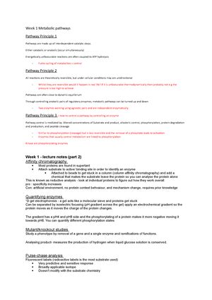 Lecture RNA Splicing And Processing BIO Week RNA Splicing And