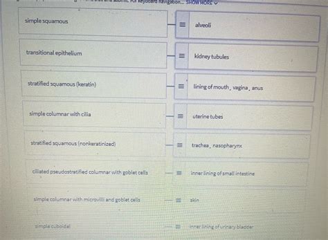 Answered Simple Squamous Transitional Epithelium… Bartleby