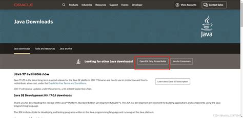 Windows配置java环境jre 8u401 Csdn博客