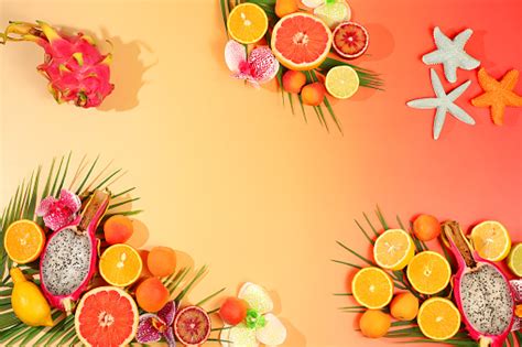 스냅 샷의 여름 드래곤 과일 피타 야 오렌지 살구 난초 꽃 자몽과 야자 잎에 조개 이국적인 과일과 열대 배경 디자인 템플릿 써니 배너 감귤류 과일에 대한 스톡 사진 및 기타