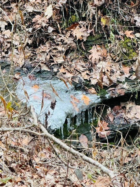 Ginger Bohm Gingerbohmrealtor • Instagram Photos And Videos