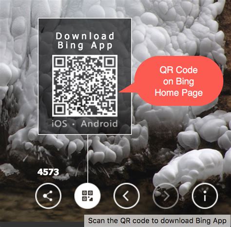 How To Create Qr Code For Your Wordpress Site Webnots