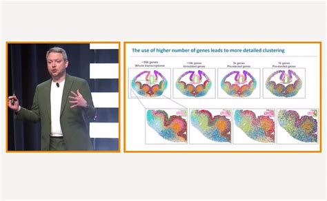Spatial Transcriptomics Technology High Resolution In Single Cells