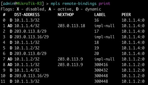 Juniper StubArea Net