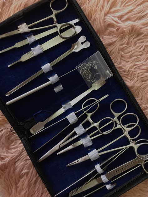 Dissecting Kit Health And Nutrition Medical Supplies And Tools On Carousell