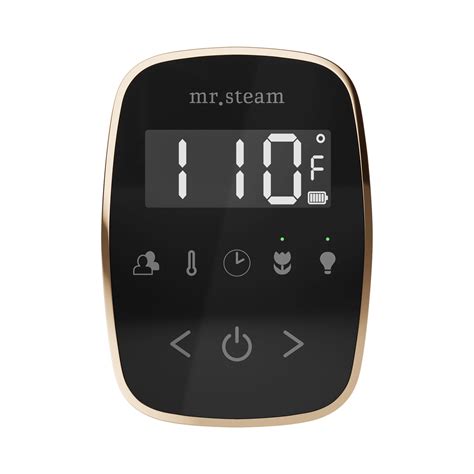 Mr Steam Butlerflex Steam Shower Control Package With Tempoflex