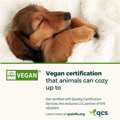 Quality Certification Services On Linkedin Qualitycertificationservices