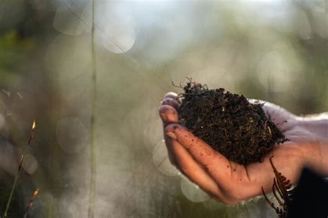 Premium Photo Environmental Scientist Taking Soil Sample In Australia