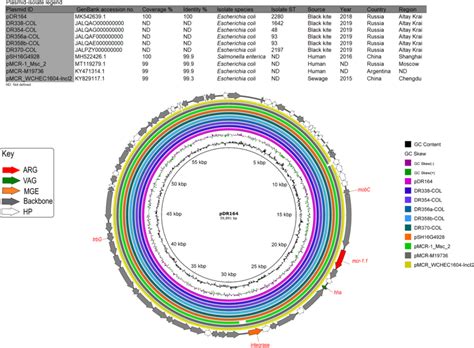 Brig Comparison Of Mcr 1 Positive Inci2 Plasmid Pdr164 With Similar Download Scientific Diagram