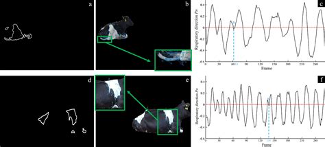 Monitoring The Respiratory Behavior Of Multiple Cows Based On Computer Vision And Deep Learning