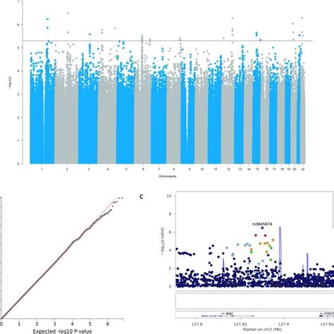 Genome Wide And Suggestive Associations With Executive Function A Download Scientific Diagram