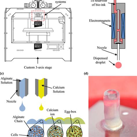 A Schematic Drawing Of The Cell Printer System B Detailed