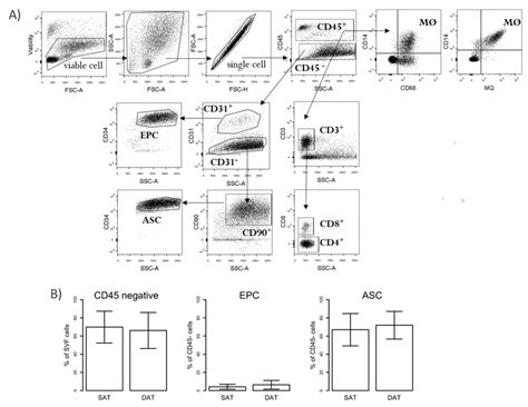 Flow Cytometry Analysis Of Asc Endothelial Progenitor Cells Epc And