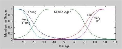 Fuzzy Relation For Age Variable Download Scientific Diagram