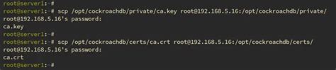 how to install cockroachdb cluster on ubuntu 24 04