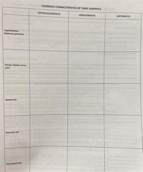 Solved Comparison Of Classes Of Echinodermata