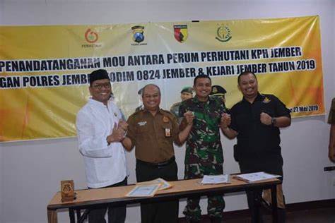 Kodim Jember Siap Dukung Perhutani Kph Jember Amankan Hutan