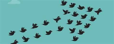 migrating blogger to wordpress a step by step guide