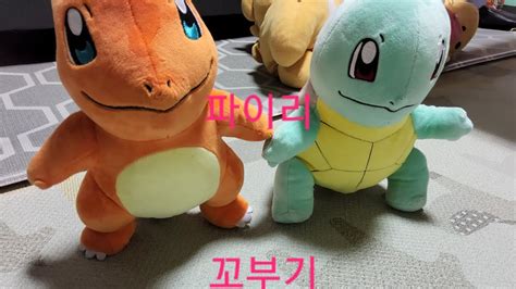 파이리 꼬부기 인형 Youtube