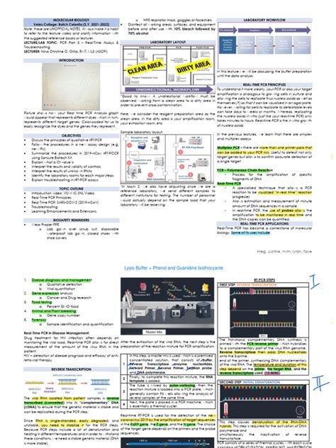 Mbdx Lab Lecture 7 Real Time Assays Troubleshooting Pt3 Download Free Pdf Polymerase Chain
