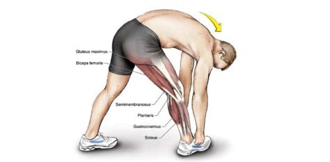 Best Hamstring Stretches To Relieve Pain Prevent Injury And More