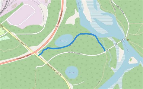 Red Squirrel Trail Hiking Jasper Alberta Pacer