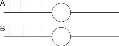 Figure 1 From Subthreshold Oscillations And Neuronal Input Output
