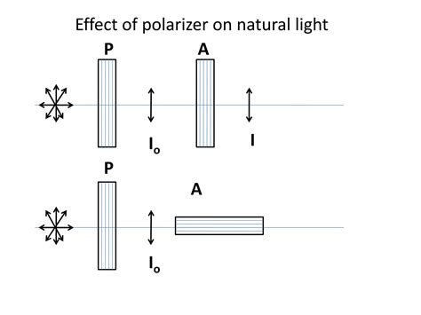 Polarization Physics Opticspptx Geology Science
