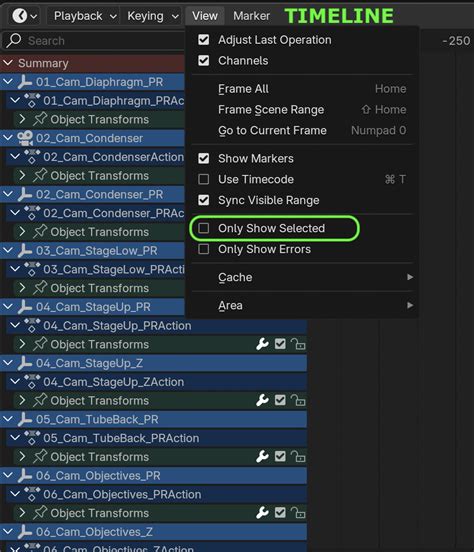 toggle “only show selected” in dope sheet animation and rigging