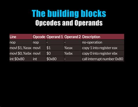 Creating A Fibonacci Generator In Assembly By Willem Van Ketwich Ppt