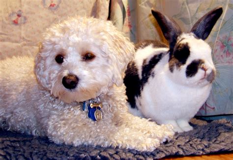 Tracee De Hahn On The Road Day 6 Of Book Tour Had A Great Steak At The Faded Rose In