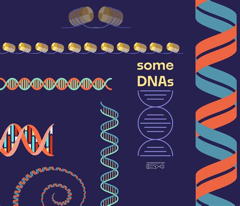 Different Ways To Draw DNA Behance
