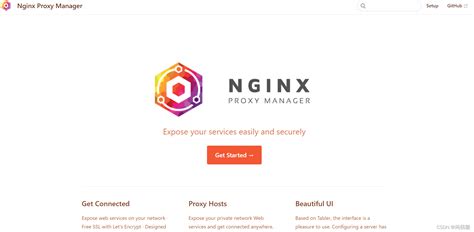 反向代理神器——nginx Proxy Managernginx Proxy Manage 日志 Csdn博客