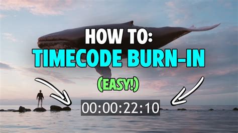 How To Add A Timecode In Premiere Pro 2024 Quick And Easy Youtube