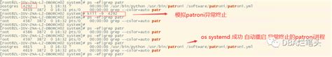 Postgresql Patroniexporter 监控 Patroni高可用工具 Csdn博客