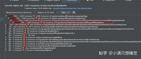 生产环境Java应用服务内存泄漏分析与解决 知乎