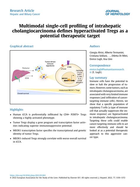 Pdf Multimodal Single Cell Profiling Of Intrahepatic Cholangiocarcinoma Defines Hyperactivated