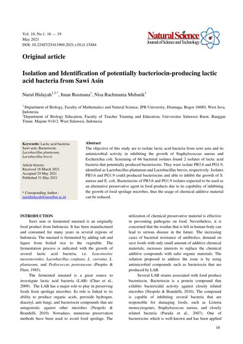 Pdf Isolation And Identification Of Potentially Bacteriocin Producing Lactic Acid Bacteria