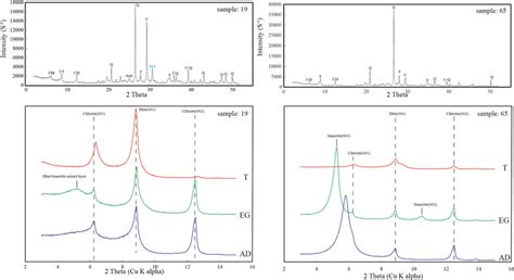 X Ray Diffraction Pattern Of The Typical Samples Abbreviations Refer
