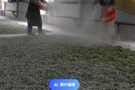 怎么养蚕，先将蚕具和蚕室进行彻底消毒 新三农