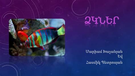 ձկներ Ppt