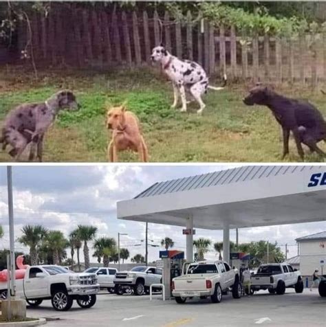 Cant Inspect Element Anymore R Discordapp