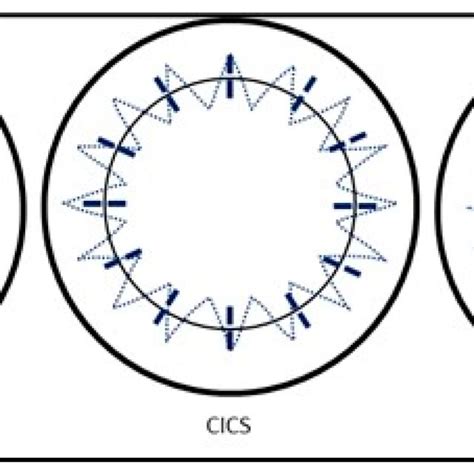 Types Of Corneal Sutures Sis Single Interrupted Sutures Cics Download Scientific Diagram