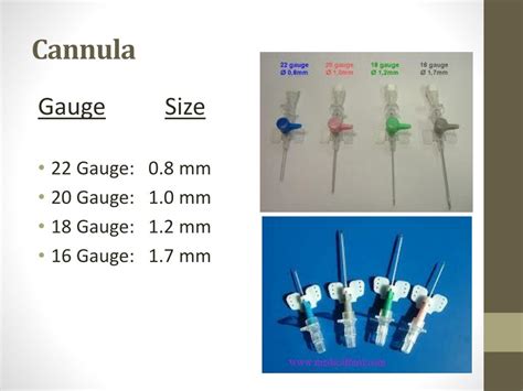 Ppt Intravenous Cannulation Powerpoint Presentation Free Download