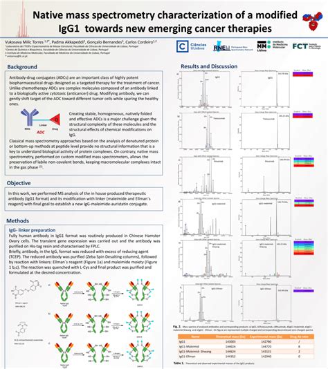 igg1 conjugate preparation adding linker a ellman´s reagent b