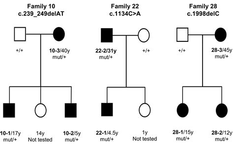 Mutation Chart Keski