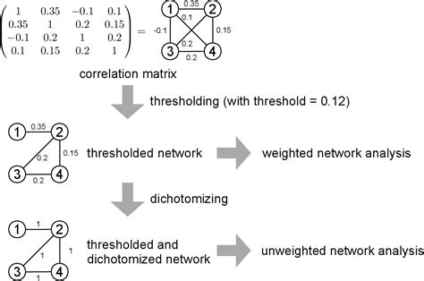Figure 1 From Correlation Networks Interdisciplinary Approaches Beyond
