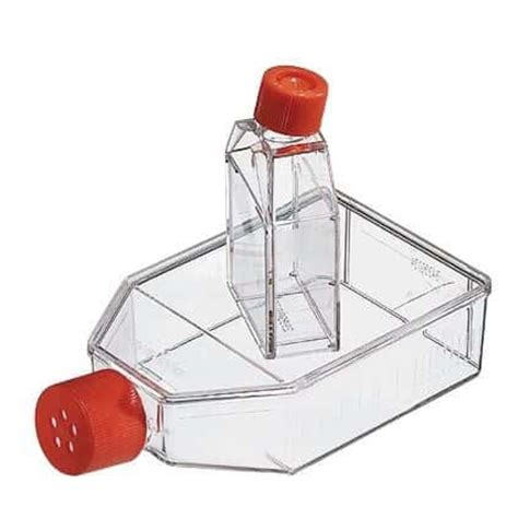 Corning Cell Culture Flask 영일사이언스