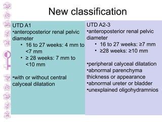 Renal Pelvic Dilatation Antenatal Managemnt And Monitoring Pptx